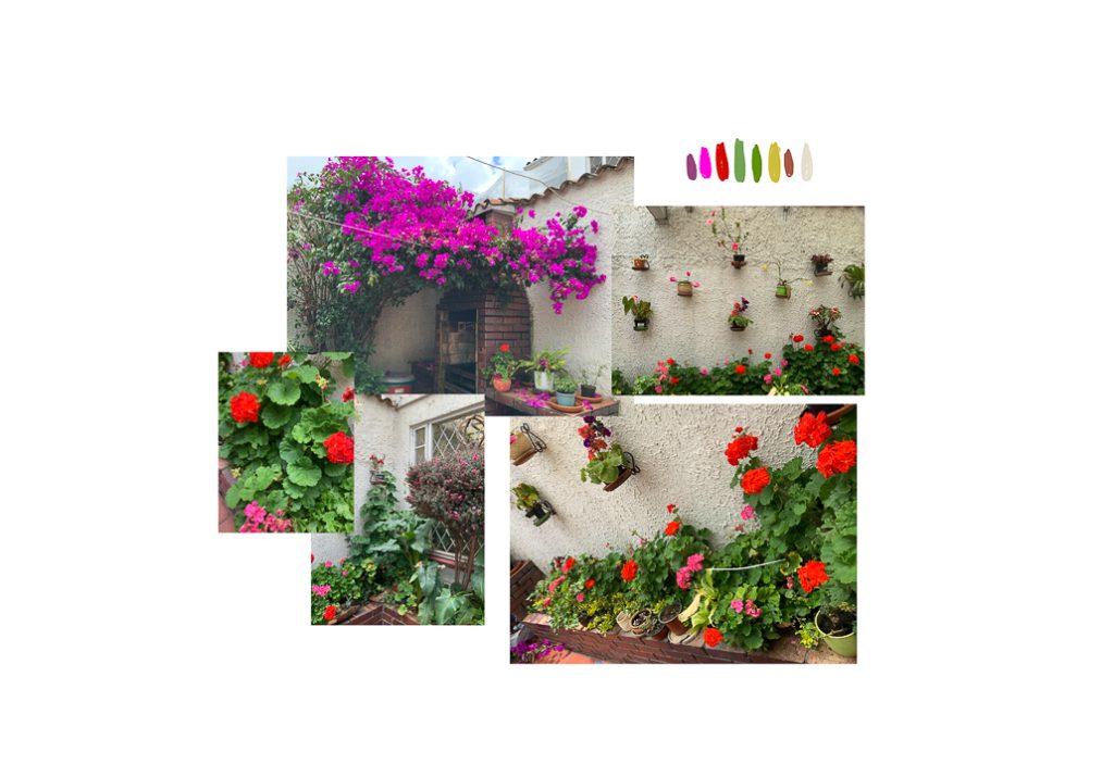 Jardín a su jardinero - Ana María Ardila Cardona - Proyectos finales ...